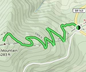 Roan High Knob via Appalachian Trail: 185 Reviews, Map - North Carolina ...