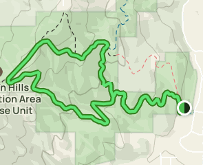 Phillips Creek Trail, Washington - 481 Reviews, Map | AllTrails