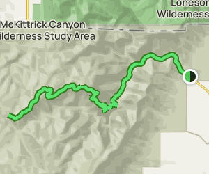 McKittrick Canyon Trail: 144 Reviews, Map - Texas | AllTrails