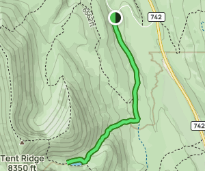 Tryst Lake Trail: 124 Reviews, Map - Alberta, Canada | AllTrails