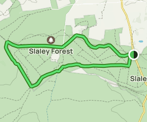Slaley Forest Circular: 71 Reviews, Map - Northumberland, England ...