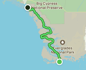 Wilderness Waterway Paddle Route, Florida - 8 Reviews, Map | AllTrails