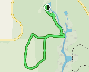 Pine Ridge Trail, Florida - 159 Reviews, Map | AllTrails