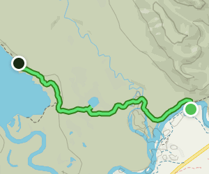 Rainbow Reach to Moturau Hut via Kepler Track: 41 Reviews, Map ...