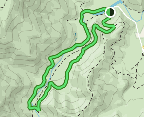 South Toe River Loop Trail, North Carolina - 356 Reviews, Map | AllTrails