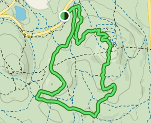 Buck Hill and Boyce Hill Loop, Massachusetts - 537 Reviews, Map | AllTrails