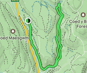 AllTrails | Yr Afon: 19 Reviews, Map - Gwynedd, Wales