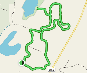 Paynes Prairie Loop Trail: 161 Reviews, Map - Florida | AllTrails