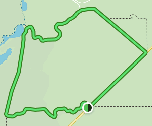 Black Point Wildlife Drive: 106 Reviews, Map - Florida | AllTrails