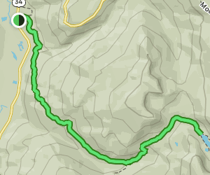 Timber Lake Trail: 453 Reviews, Map - Colorado | AllTrails