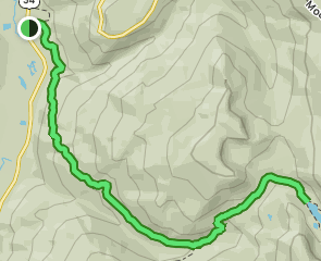 Timber Lake Trail, Colorado - 535 Reviews, Map | AllTrails