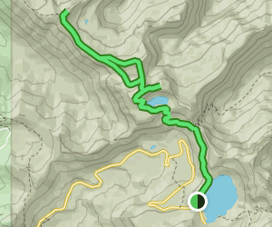 Tolmie Peak, Alki Crest, and Florence Peak: 4 Reviews, Map - Washington ...
