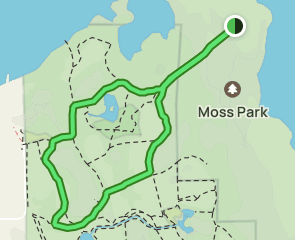 Split Oak North and Center Trail via Moss Park, Florida - 260 Reviews ...