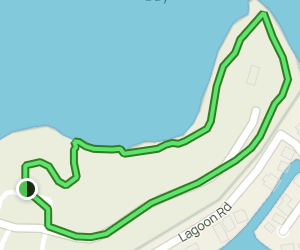 Anderson Park Trail: 132 Reviews, Map - Florida | AllTrails