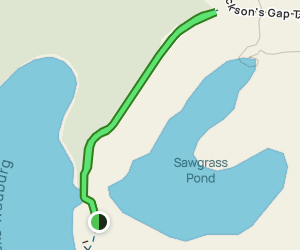 Paynes Prairie Preserve Lake Trail: 121 Reviews, Map - Florida | AllTrails