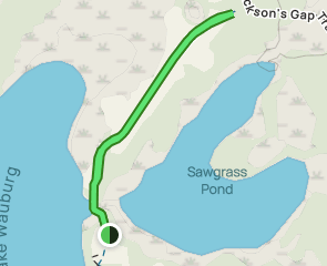 Paynes Prairie Preserve Lake Trail, Florida - 126 Reviews, Map | AllTrails