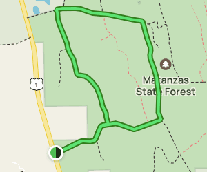 Matanzas State Forest Loop Trail: 65 Reviews, Map - Florida | AllTrails