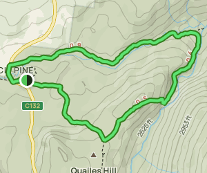 Dove Canyon Circuit: 84 Reviews, Map - Tasmania, Australia | AllTrails