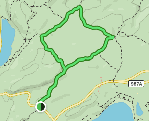 Beech, Hasenclever, Red Cross, and Lake Askoti Trail Loop, New York ...