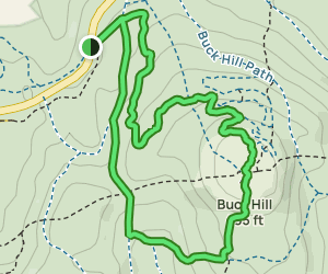 Buck Hill and Doe Hollow Path: 280 Reviews, Map - Massachusetts | AllTrails