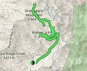 Graybeard Trail, North Carolina - 1,720 Reviews, Map | AllTrails