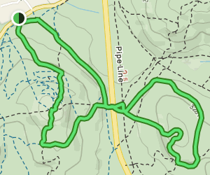 Buck Hill to Hawk Hill Loop: 99 Reviews, Map - Massachusetts | AllTrails