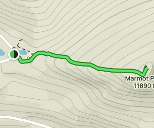 Marmot Point Trail: 215 Reviews, Map - Colorado | AllTrails
