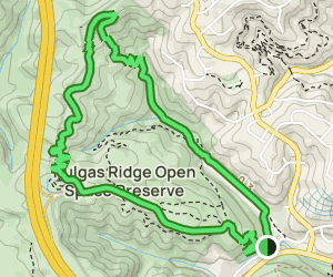 Dusky-Footed Woodrat and Cordilleras Trails: 2692 Reviews, Map ...