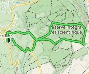 Bois de Chêne via Genolier: 6 Reviews, Map - Vaud, Switzerland | AllTrails