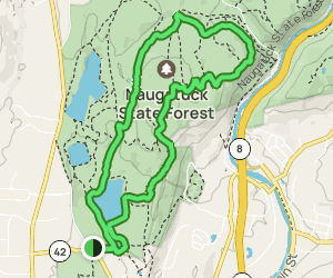 Naugatuck State Forest Reservoirs and Tobys Rock Loop, 1.210 Fotos ...