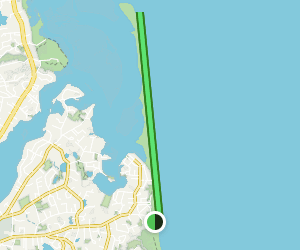 Nauset Beach Walk: 43 Reviews, Map - Massachusetts | AllTrails