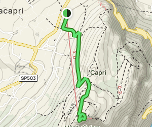 Monte Solaro via Anacapri: 85 Reviews, Map - Campania, Italy | AllTrails