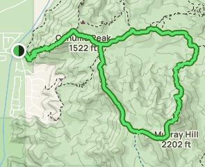 Murray Hill Loop, California - 614 Reviews, Map | AllTrails