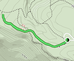 Rock City Trail: 371 Reviews, Map - West Virginia | AllTrails