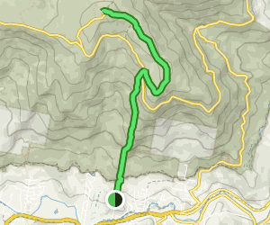 Mount Victoria Track: 255 Reviews, Map - Victoria, Australia | AllTrails