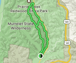 Zig Zag Figure 8 Trail: 49 Reviews, Map - California | AllTrails