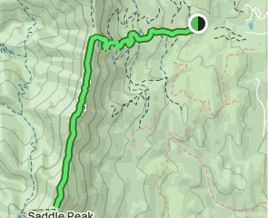 Bridger Bowl Ridge Trail, Montana - 91 Reviews, Map | AllTrails
