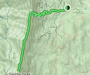 AllTrails | Bridger Bowl Ridge Trail: 85 Reviews, Map - Montana