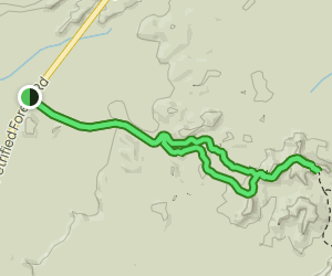 Historic Blue Forest Trail: 706 Reviews, Map - Arizona | AllTrails