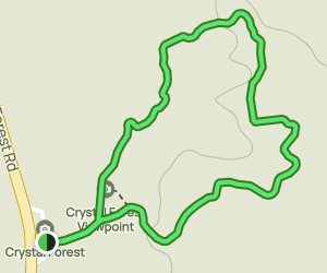 Crystal Forest Trail: 1317 Reviews, Map - Arizona | AllTrails