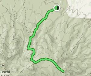 Mangorei Track to Henry Peak: 20 Reviews, Map - Taranaki, New Zealand ...