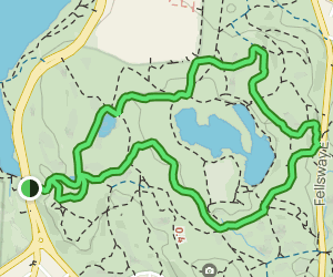 Rock Circuit Trail to Cross Fells Trail Loop: 516 Reviews, Map ...