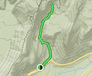 Comet Falls via Van Trump Trail: 2094 Reviews, Map - Washington | AllTrails