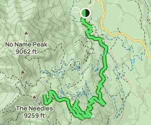 Snowbasin Needles Trail: 173 Reviews, Map - Utah | AllTrails