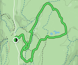Grizedale Forest and Knot Coppice Circular: 57 Reviews, Map - Cumbria ...