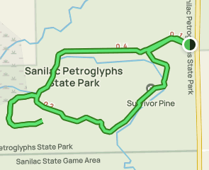 Sanilac Petroglyphs Trail: 198 fotos - Michigan | AllTrails