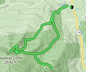 Rooster Comb and Snow Mountain Loop Trail: 734 Reviews, Map - New York ...