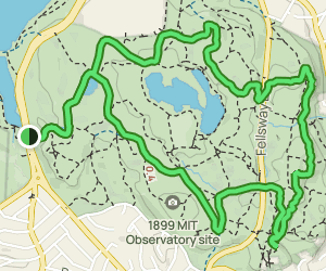 East Middlesex Fells Reservation Loop Trail: 453 Reviews, Map ...
