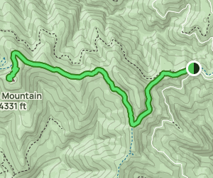 Tire Mountain Trail: 122 Reviews, Map - Oregon | AllTrails