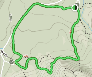 Hollow Mountain to Mount Zero Picnic Area Loop, 86 Fotos - Victoria ...